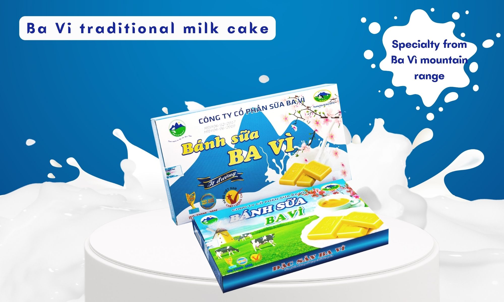 Company Introduction – Công ty Cổ phần Sữa Ba Vì