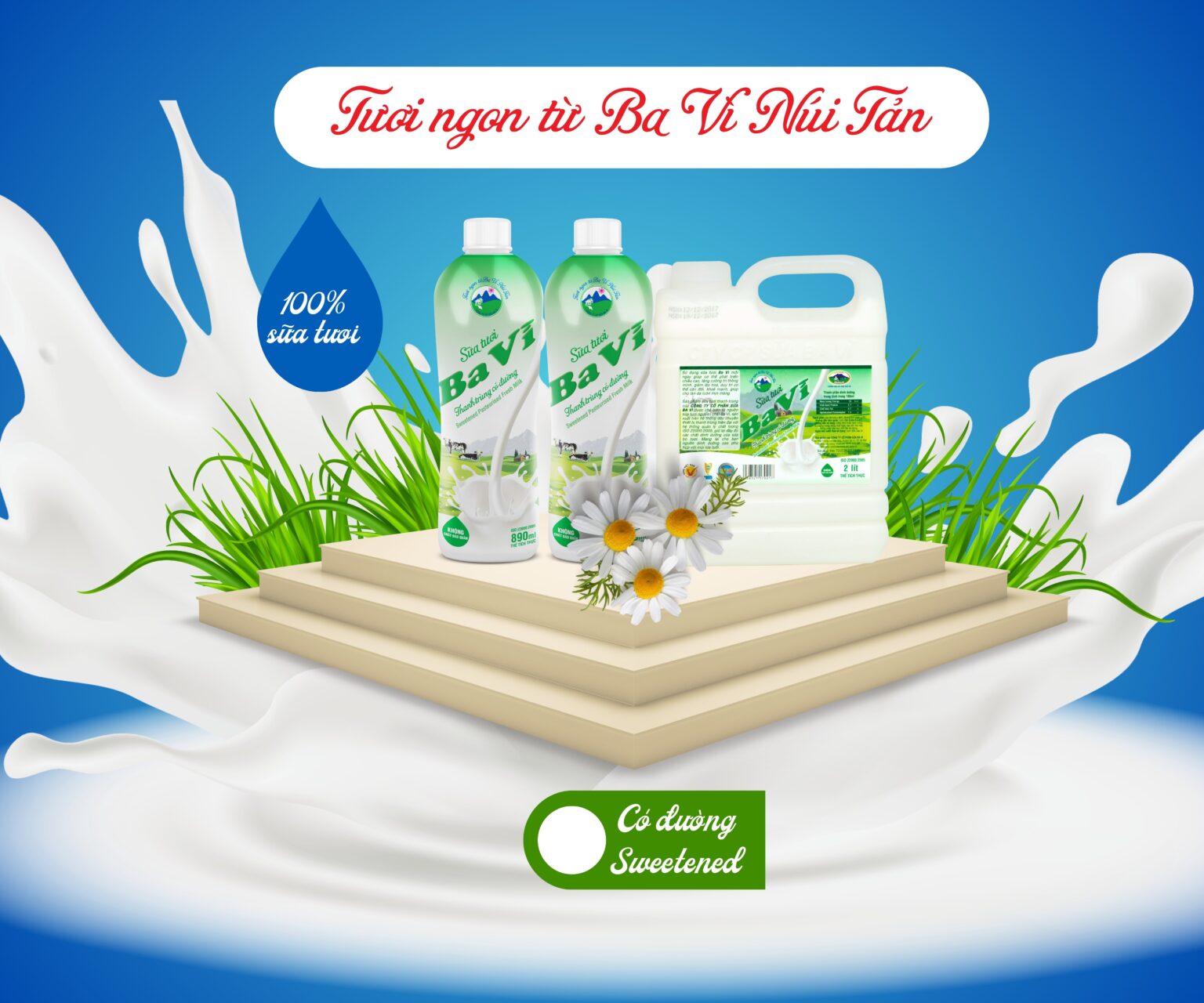Company Introduction – Công ty Cổ phần Sữa Ba Vì